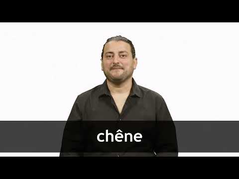 How to pronounce CHÊNE in French