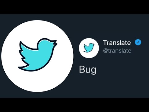 Bug Meaning in English