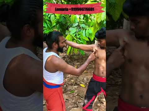 Varmakalai Adimurai | Varma Attack | Easy Self defence | Traditional Martial arts| Anand