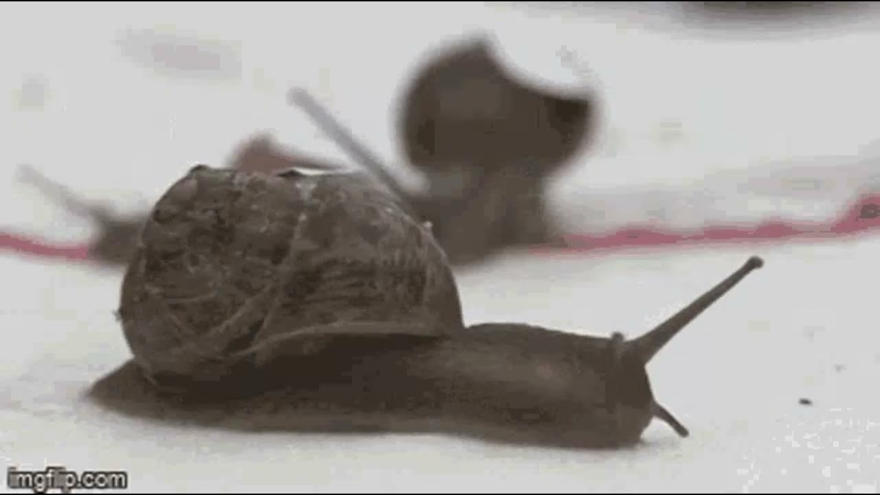 Some GIFs I made - Part 2