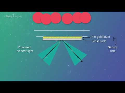 An introduction to surface plasmon resonance
