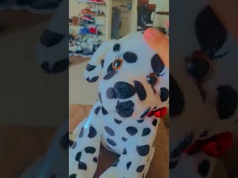what should i name my plushie