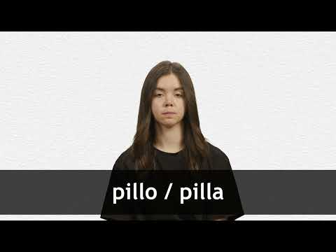English Translation of “PILLO” | Collins Spanish-English Dictionary