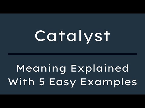 Category Meaning in English With 5 Example Sentences, Category Meaning in English