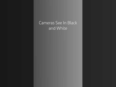 Cameras see shades of grey or in other words black and white #learnphotography