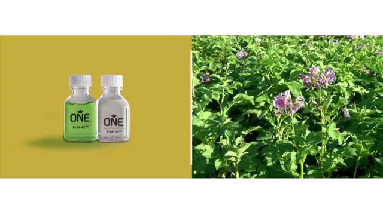 Simplot One™ Specialty Liquid Fertilizers