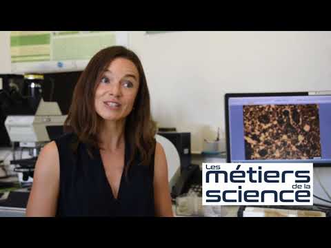 Louise Purdue, Chargée de recherche CNRS au laboratoire CEPAM #VisagesdelaScience