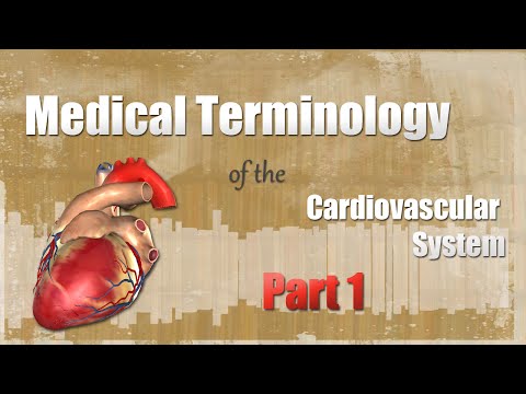 Medical Terminology of the Cardiovascular System Pt. 1