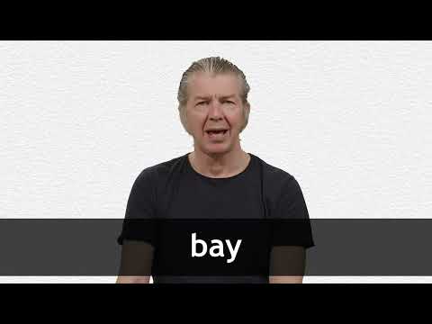 BAY definition and meaning | Collins English Dictionary