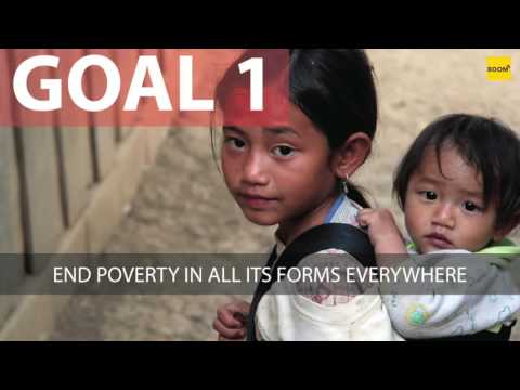 The United Nations Sustainable Development Goals