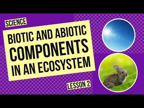 Biotic and Abiotic Components in an Ecosystem