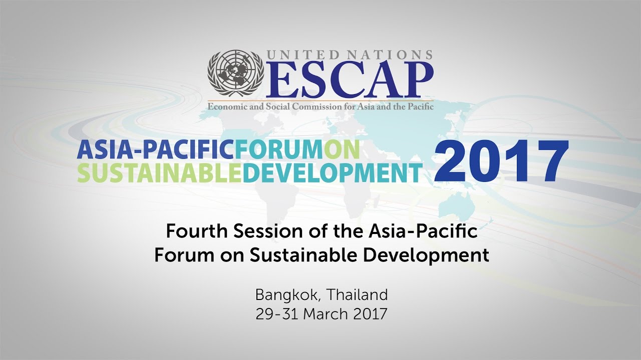 APFSD4: Means of Implementation, Regional Roadmap and Form of APFSD