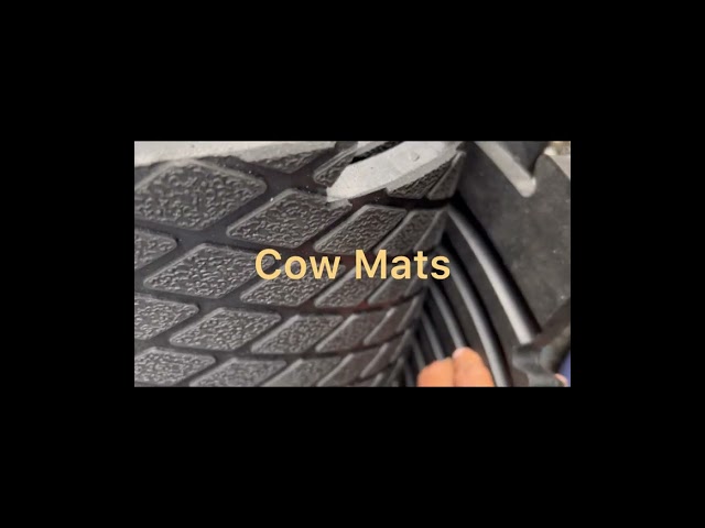 cow mats - Rubber Cow Mats Trader - Retailer from Chennai