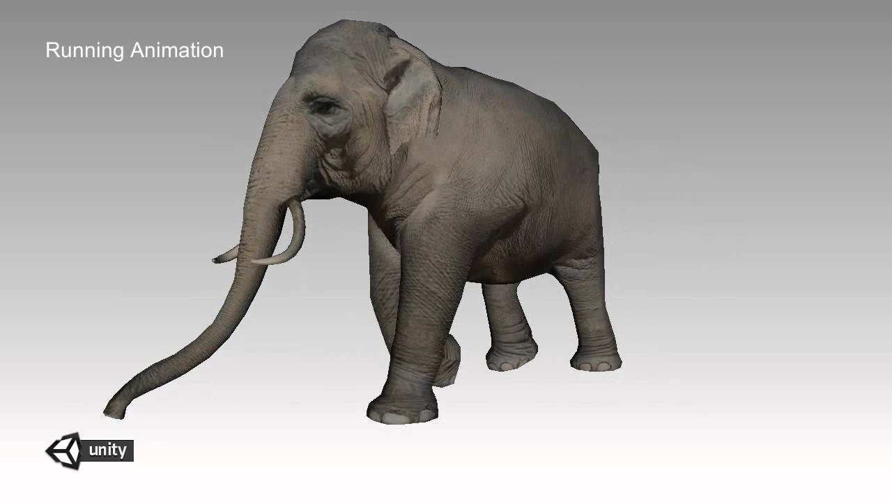 Asian Elephant Animations Demo