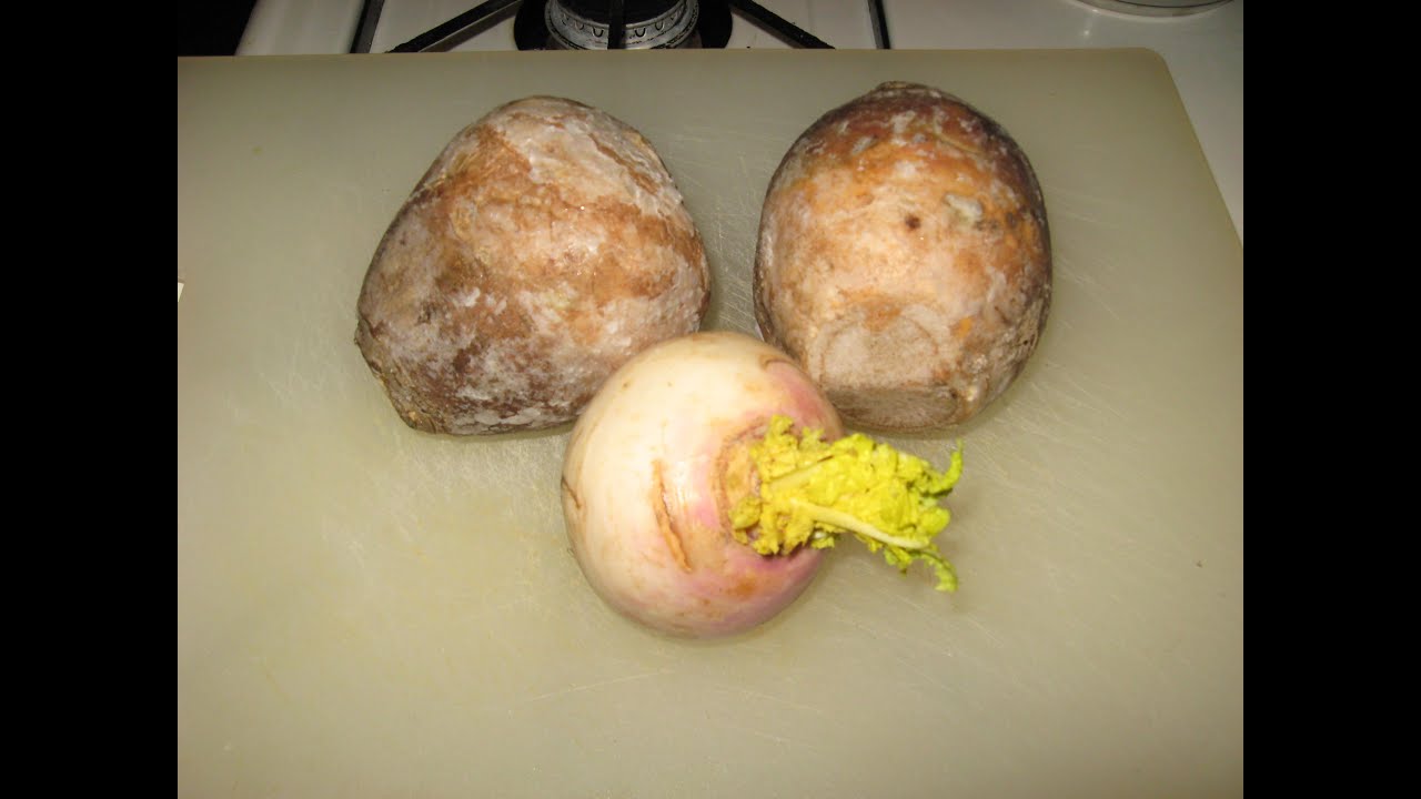 which is which RUTABAGA or TURNIP swede neep yellow turnip - say what? they just taste good