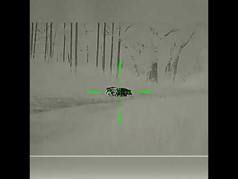 Thermal drone hog hunt first time on some hogs.