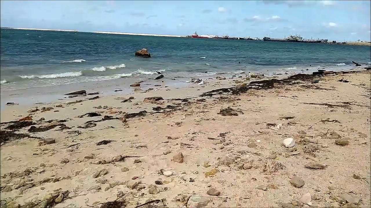 الطيور الليبية: طائر الخرشنة المتوجة – The Muaad Sharif's Experience