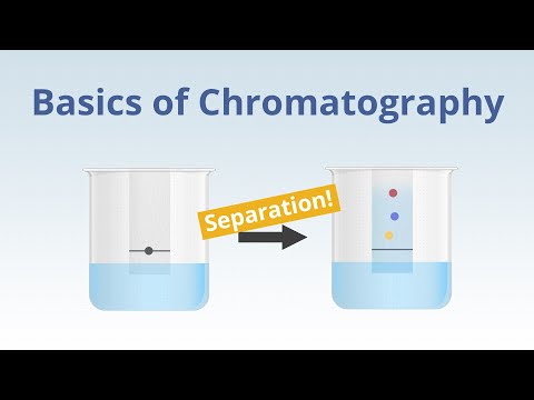 Basics of Chromatography 101