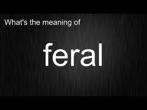 What's the meaning of "feral", How to pronounce feral?