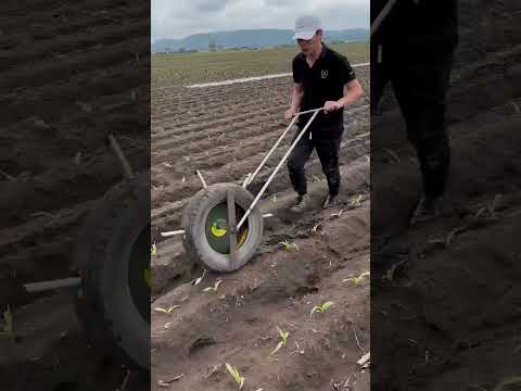 See How This Unique Fertilizer Spreader Made from Old Tires Works for Corn!