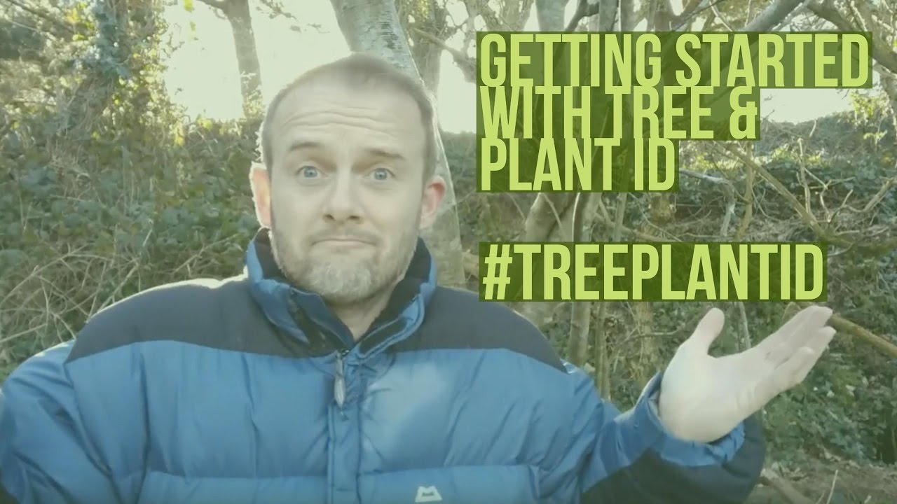 Getting Started with Tree & Plant ID #TreePlantID