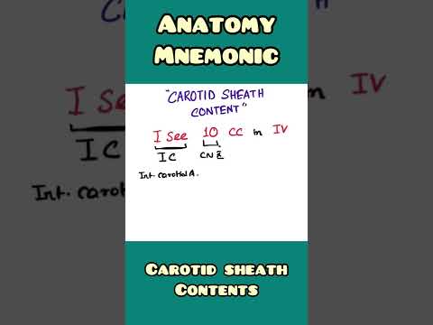 Carotid Sheath - mnemonic | Anatomy | #shorts