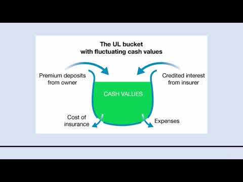 Life Insurance 101 (Universal Life Insurance)