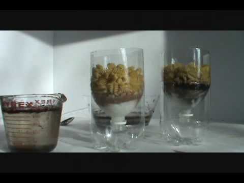 Homemade Water Filtration Science Project 2012