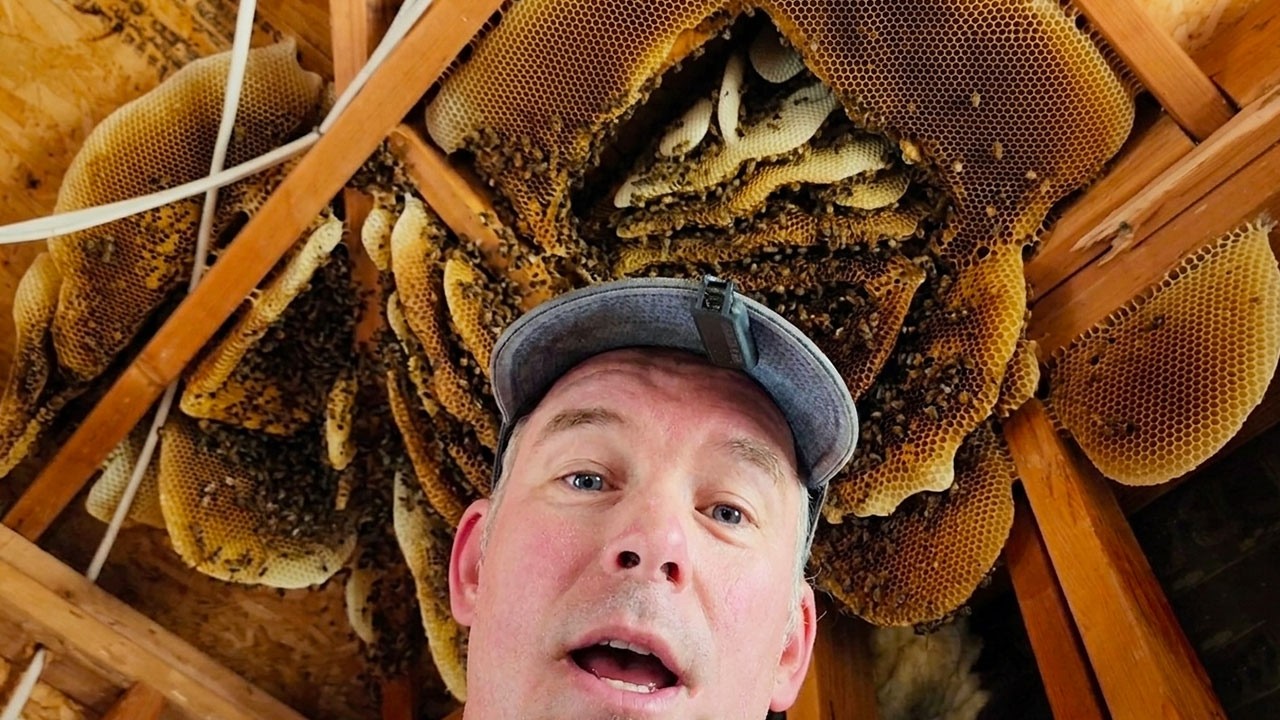 I'm Seriously Considering Quitting