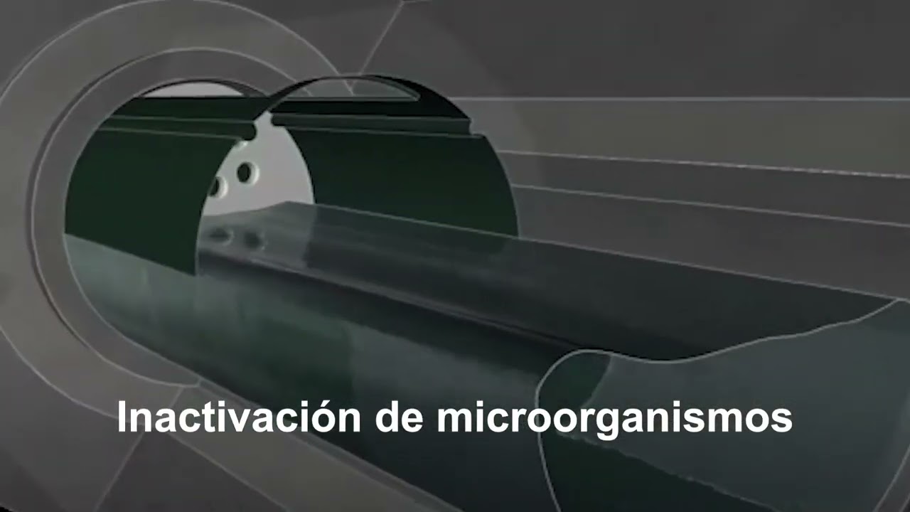 Procesamiento en HPP