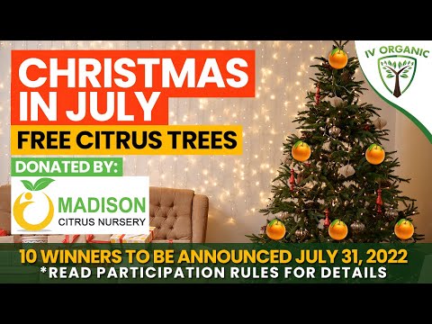 FREE Citrus Tree Giveaway | MadisonCitrusNursery.com