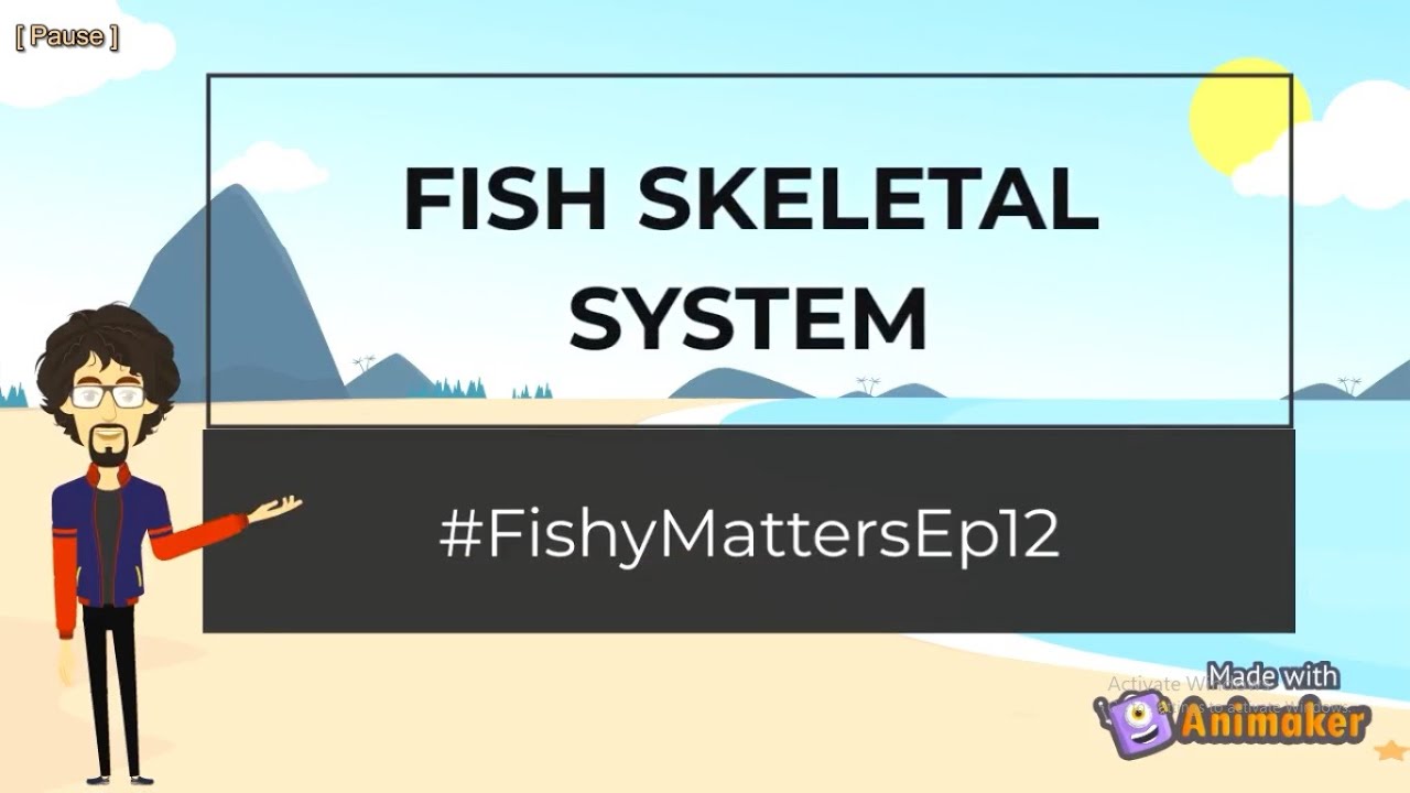 Skeletal system of a fish [Fishy Matters - Episode 12]