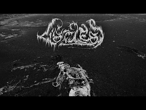 Album Review – Listless / Listless (2025) | THE HEADBANGING MOOSE