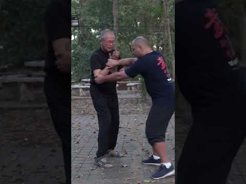 Shaolin Kungfu Master demonstrates martial applications of Yan Shou Gong