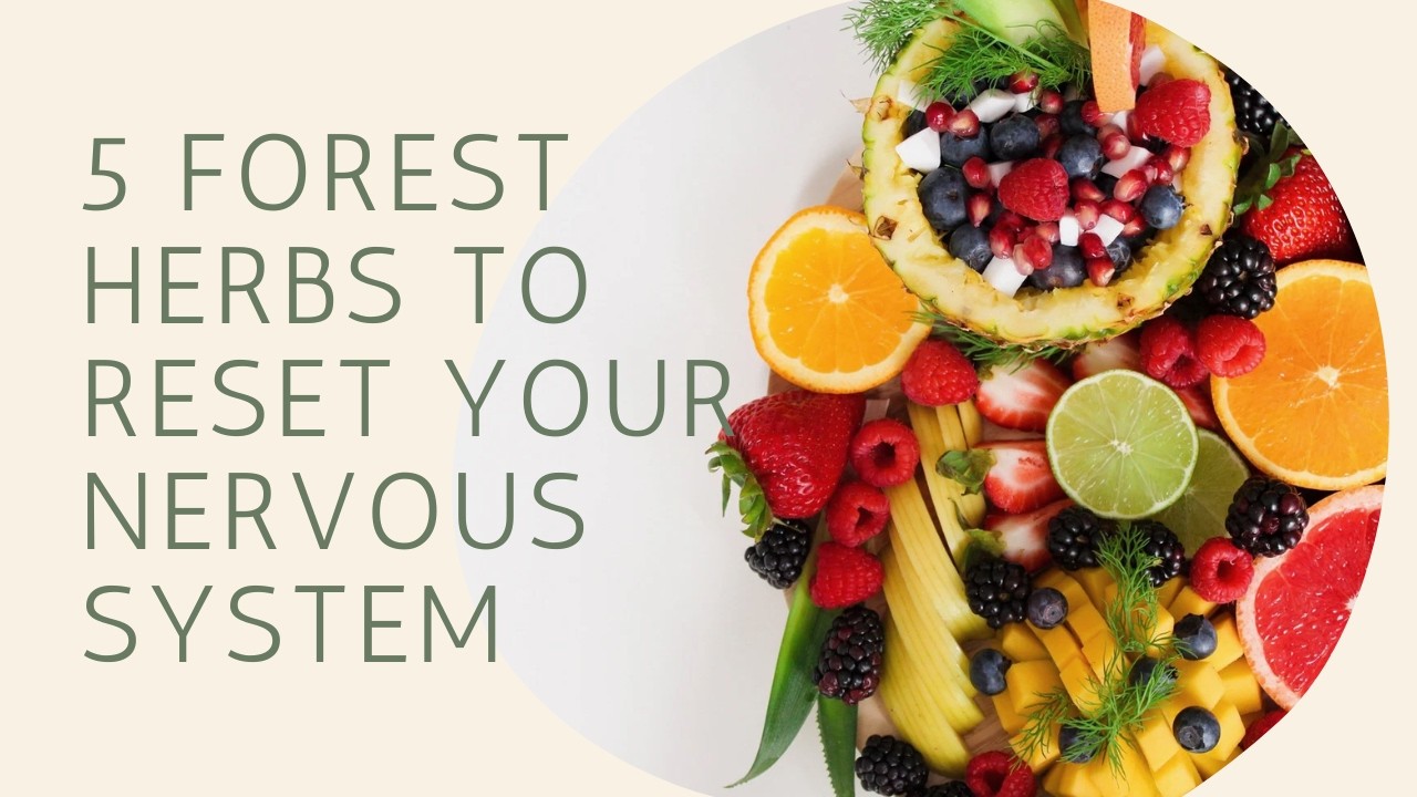 5 FOREST HERBS TO RESET YOUR NERVOUS SYSTEM