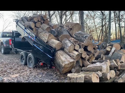 Gotta Lotta Oak and Elm Today Ford 2000 Cold Start