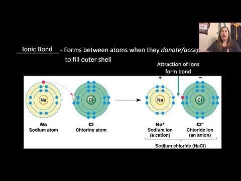 Chemical Properties Part 1