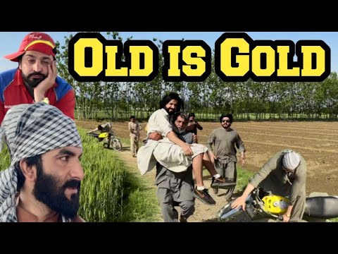 Old is Gold Funny Video By PK Plus Vines2025