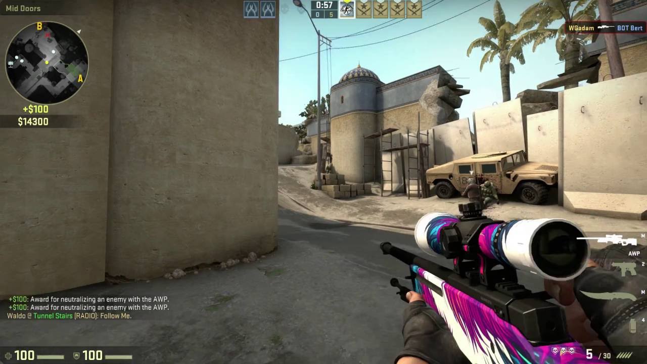 AWP | Bluewolf