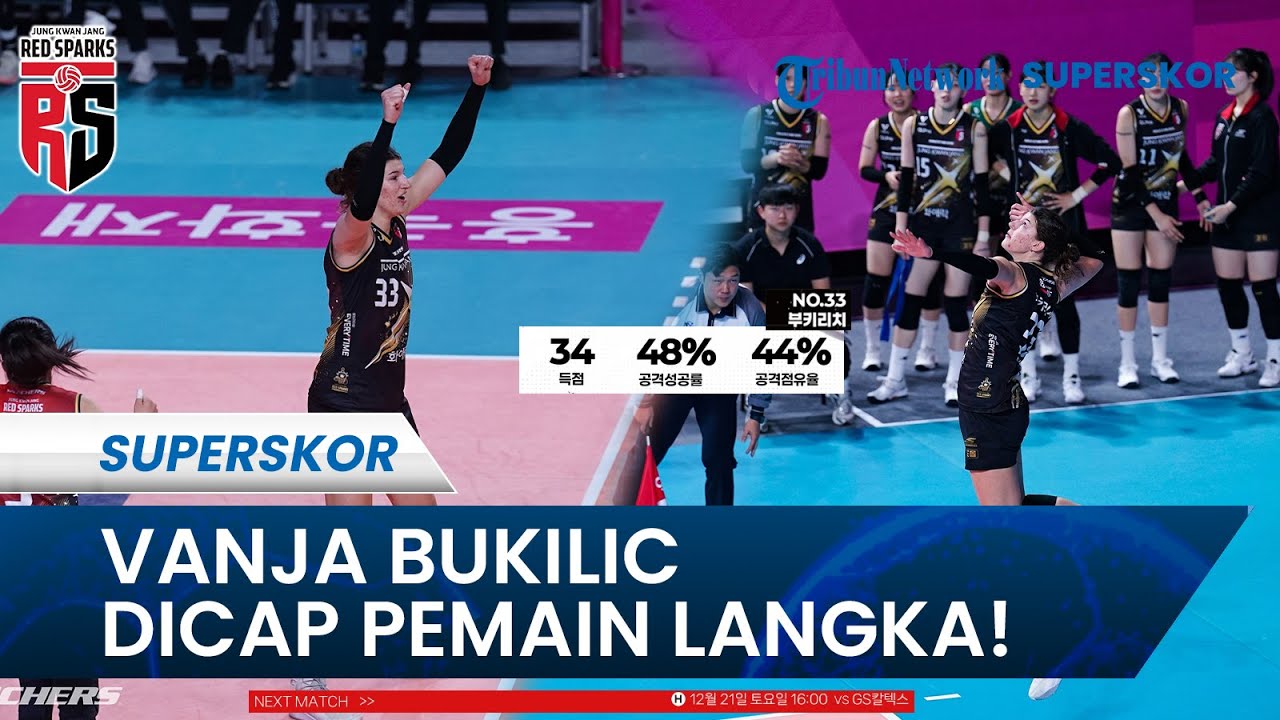 Vanja Bukilic Dicap Manusia Langka, Bikin Pekerjaan Megawati Ringan di ...