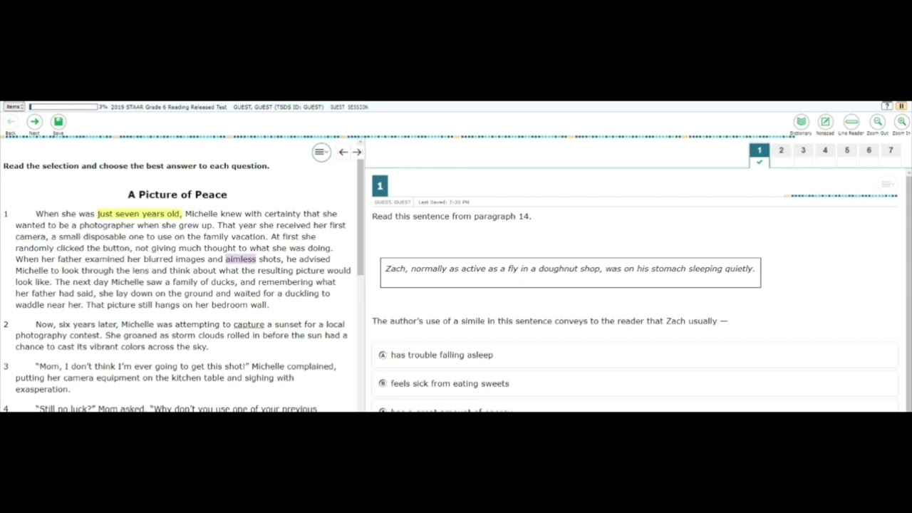 STAAR Online Feature Video - Highlight Tool