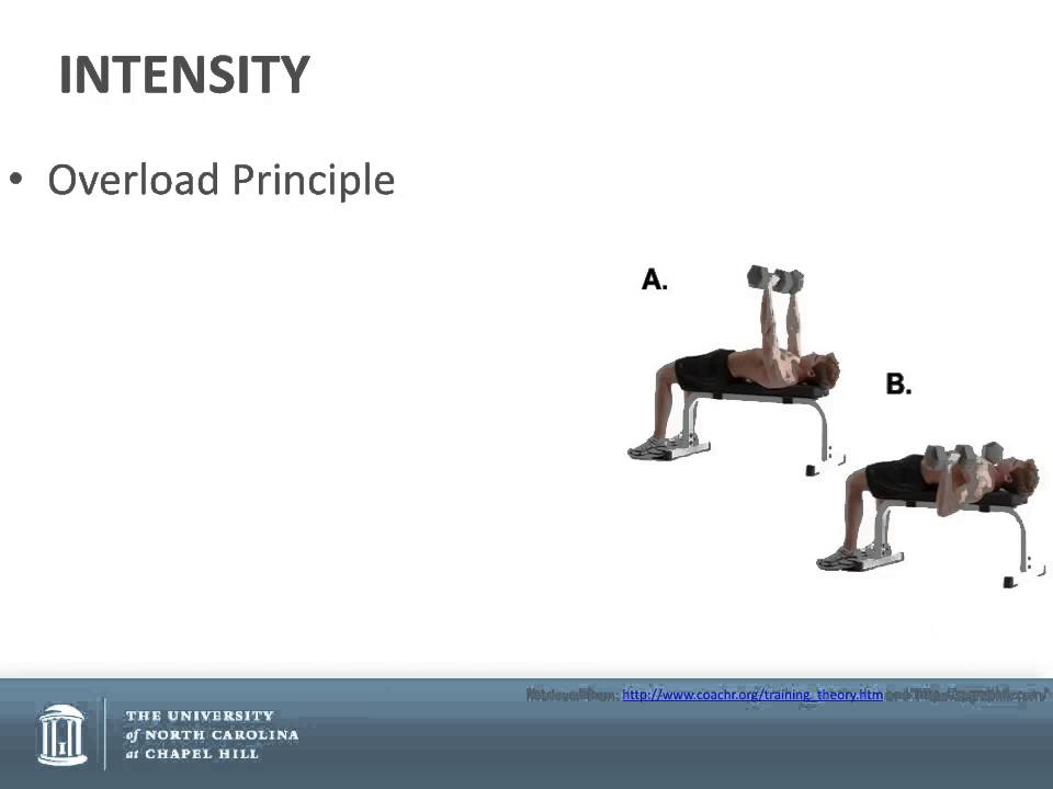 ACSM Guidelines Resistance Training