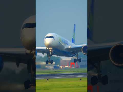 Air Caraïbes A350-900 Landing at Paris Orly Airport #aviation #planespotting