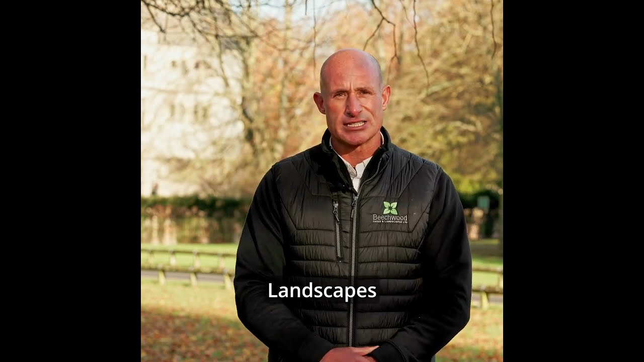 Tree Surveys and Tree Care