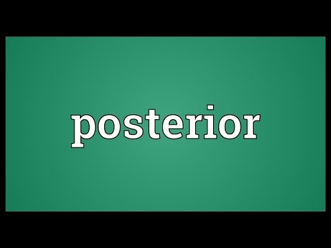 Posterior Meaning