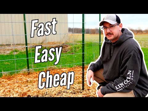 How To Build A Trellis For Climbing Plants