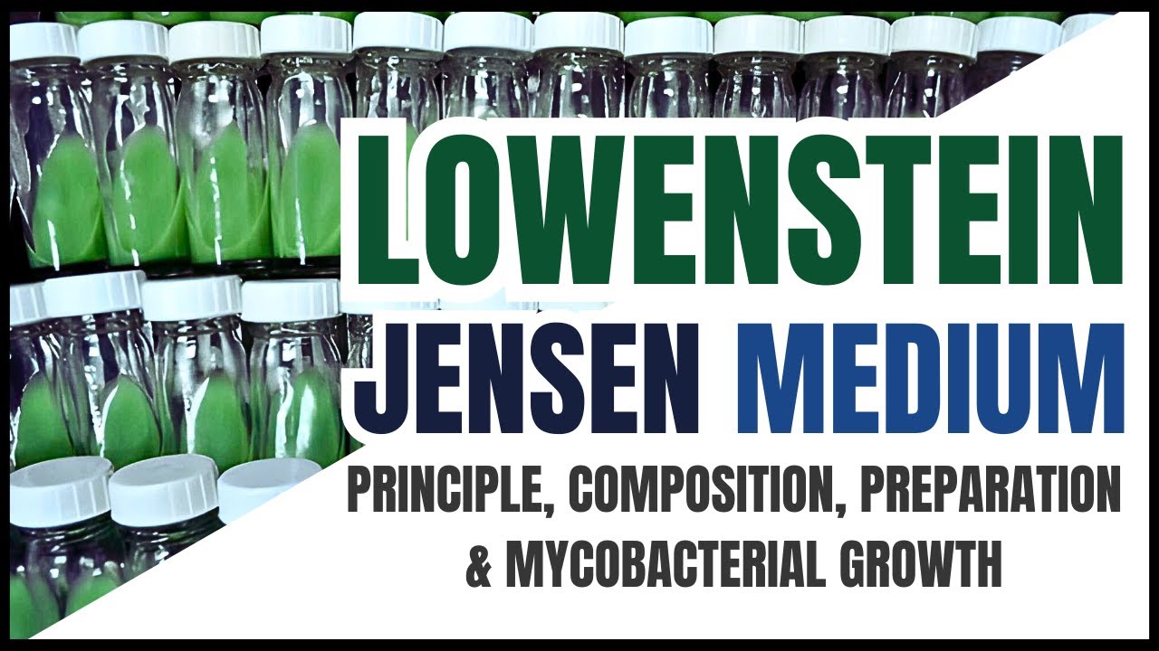 Lowenstein-Jensen (LJ) Medium | Principle, Composition, & Preparation | Culture Media