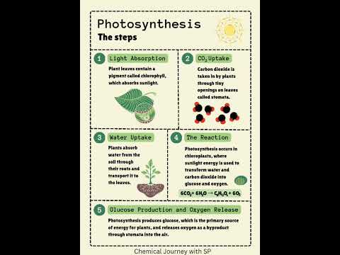 Photosynthesis #photosynthesis #chemistry #shorts #trending
