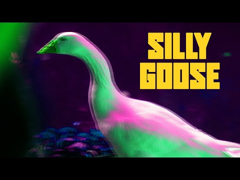 Silly Goose