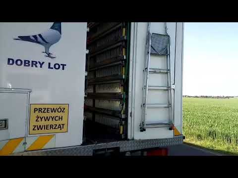 O367 Świebodzin LOT nr 5 Sickte (24-05-25)